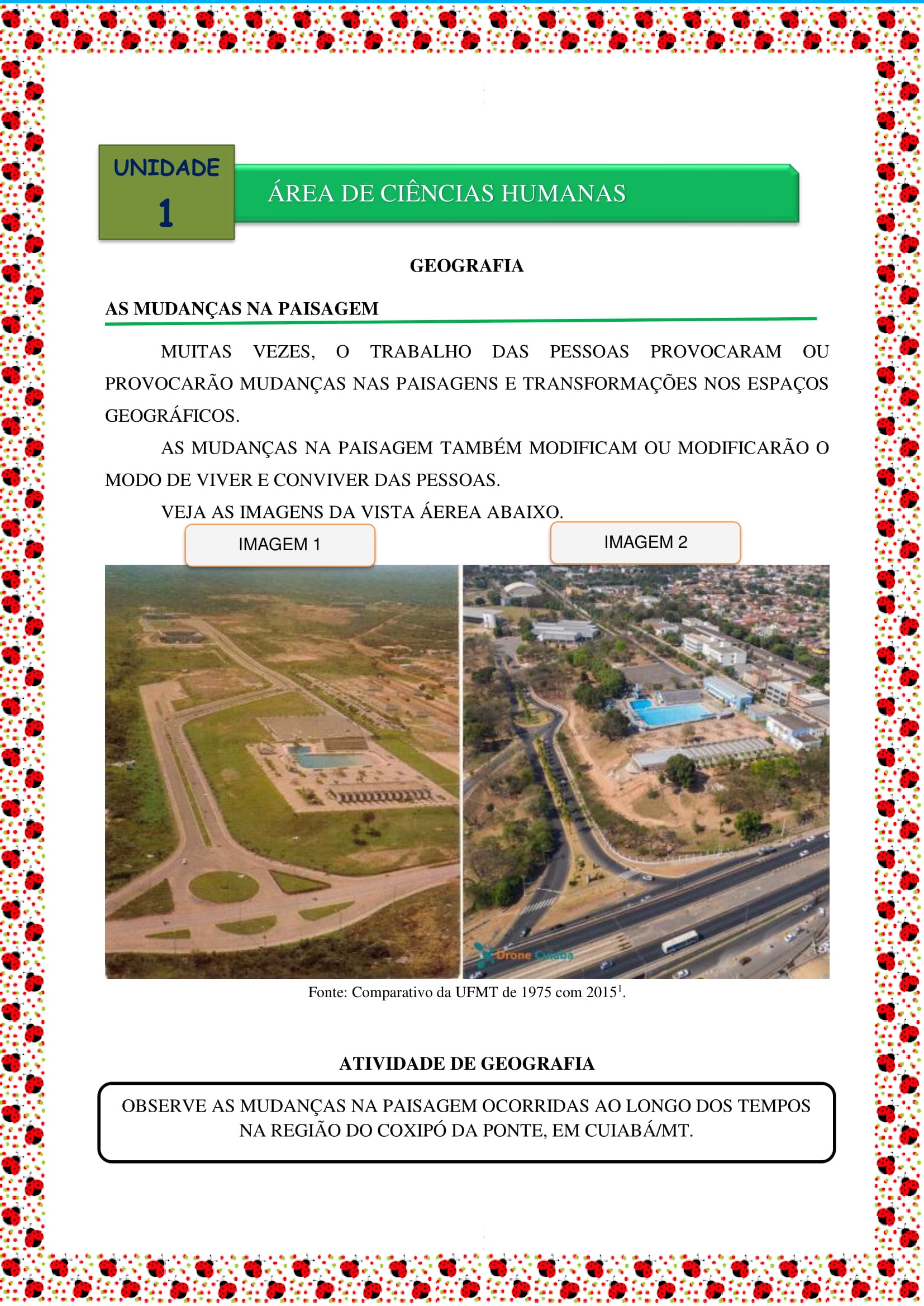 2º ANO - ATIVIDADES INTERDISCIPLINARES - Cuca Super legal - Educação ...