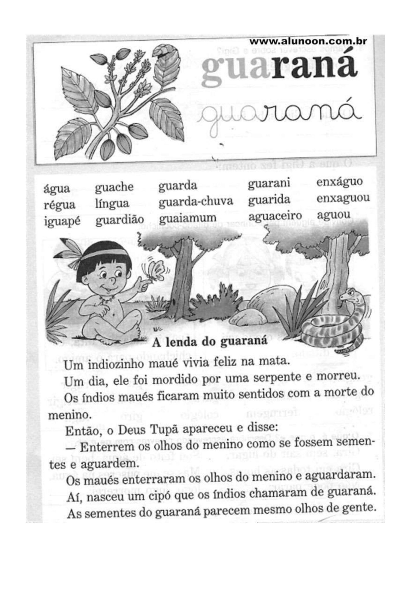 1º ao 5º ano - Folclore - A lenda do guaraná e outras atividades - Cuca ...